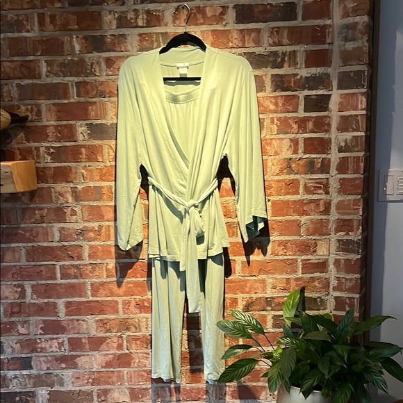 LAKE | Intimates & Sleepwear | Elegant Light Green Womens Intimate Robe ...